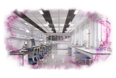 A complete solution – Stem Cells Lab