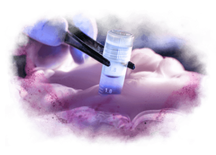 A complete solution – Stem Cells Lab