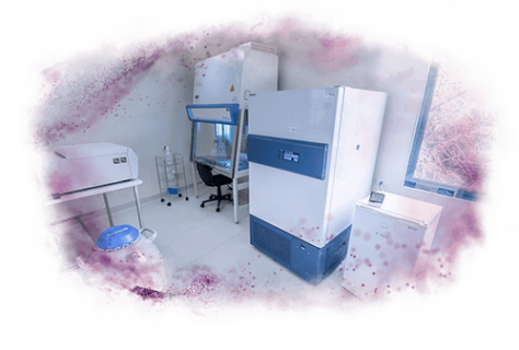 A complete solution – Stem Cells Lab